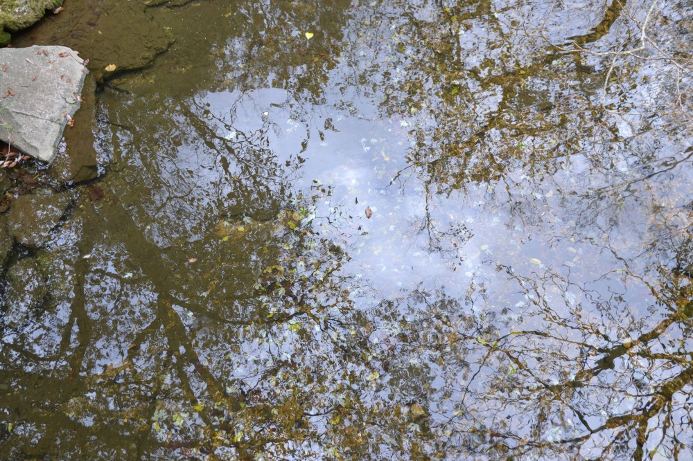 An early morning Fall walk. – Our Little Red House